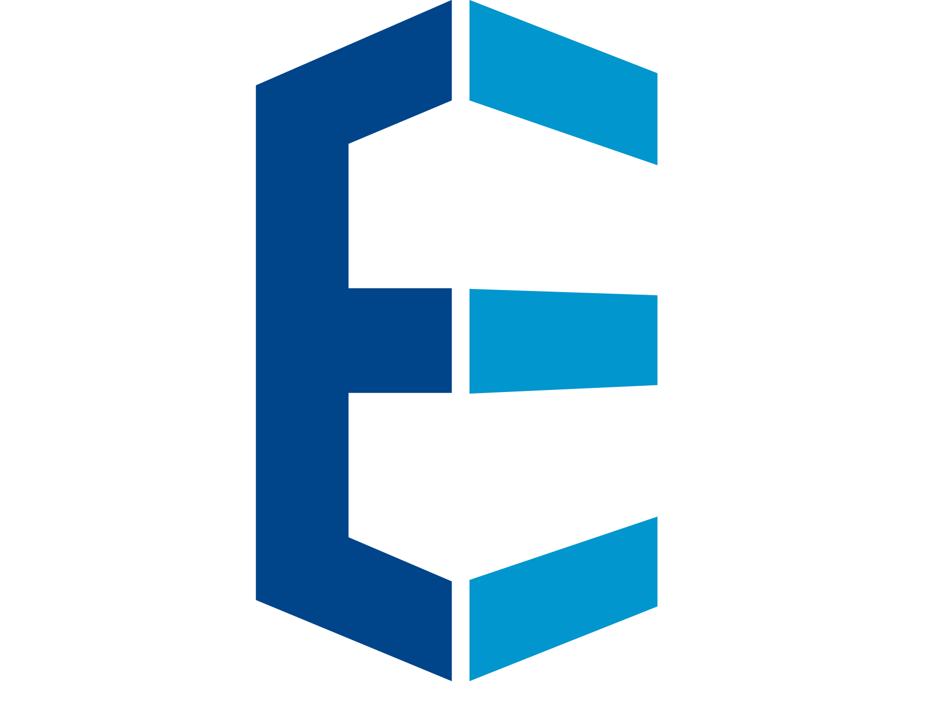 Project Management - Epsilon Global